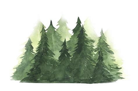 Pine Forest Vector