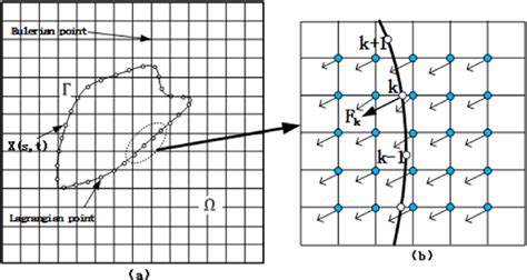 schematic of the immersed boundary a the schematic of the lagrangian download scientific