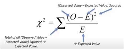 Psychology How To Do The Chi Squared Test Flashcards Quizlet
