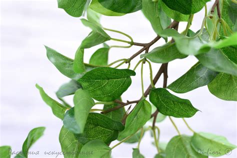 Лиана искусственный фикус декоративная лиственная Di Fiori ™ Москва — купить в розницу и оптом