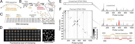 Microarray Scanner Agilent Technologies Bioz