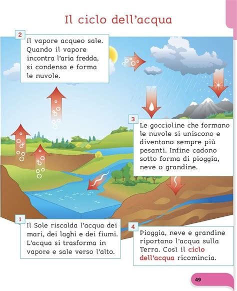 Classe Terza Scienze Il Ciclo Dell Acqua Scheda Semplificata Artofit