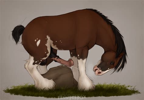 Rule 34 Animal Genitalia Animal Penis Balls Black Hair Bodily Fluids