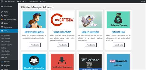 How To Build An Affiliate Website Using WordPress Template Monster Help