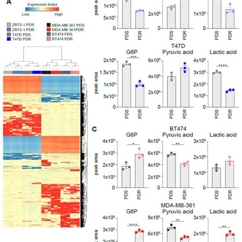 Metabolomic Profiling Identifies A Distinct Intracellular Metabolites