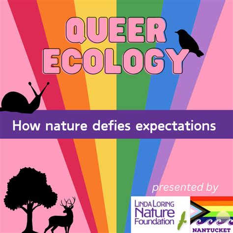 Nantucket Current Current Nature Queer Ecology