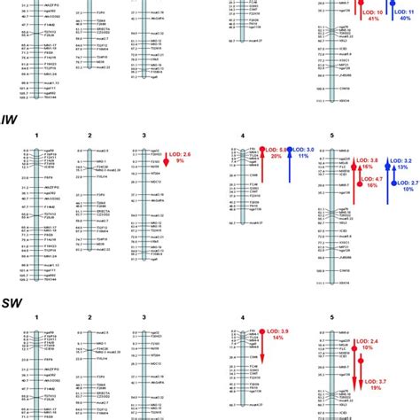 Quantitative Trait Locus Qtl Mapping For Cucumber Mosaic Virus Download Scientific Diagram