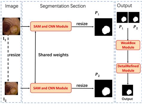 논문 리뷰 Biseg Sam Weakly Supervised Post Processing Framework For