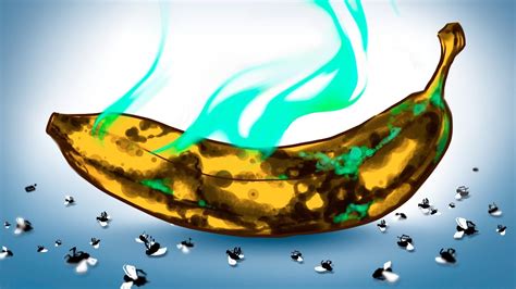 집 안에서 초파리를 없애는 자연적인 방법 4가지 Youtube