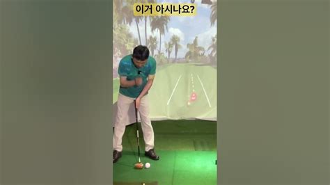 이렇게들 하고 계신가요 골프스윙 파크골프 골프레슨 골프공 골프채 파크골프채 파크골프공 혼마 파트골프채 피닉스