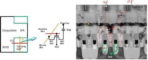 Bit Line Contact Blc In Dram