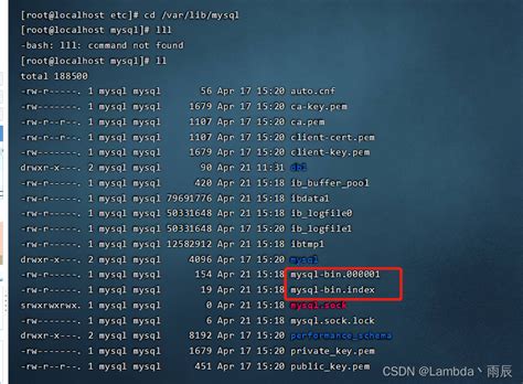 linux系统下mysql开启二进制日志bin log mysql二进制日志打开不了 csdn博客