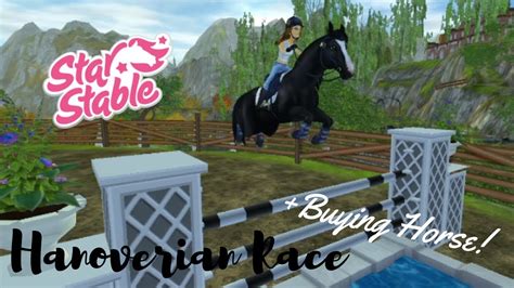 Sso Hanoverian Race Buying A Hanoverian Youtube