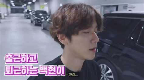 터벅터벅 출근하고 퇴근하는 백현이 D 99 우리 곧 만나 Youtube