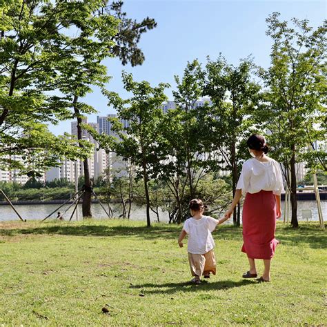 네이버 인플루언서 소신있는라이프의 홈