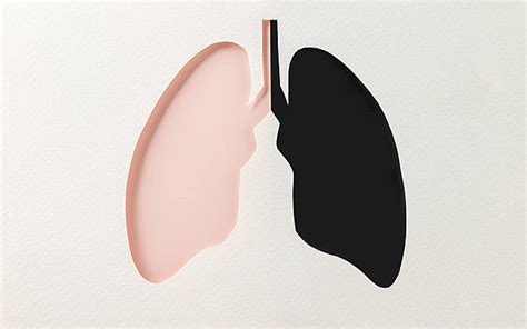 World Tuberculosis Day Tuberculosis Lung Virus Photo Background And Picture For Free Download