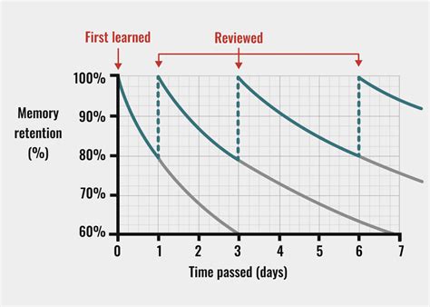 Memoriter The Flashcard App That Lets You Remember More