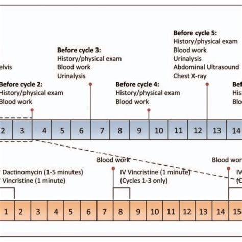 A Chemotherapy Protocol 11 Download Scientific Diagram
