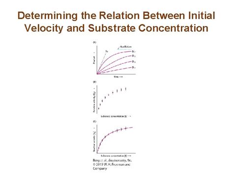 Chapter 8 Enzymes Basic Concepts And Kinetics 2019