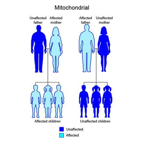 Lebers Hereditary Optic Neuropathy Mitochondrial Mutation Detection Test Ganesh Diagnostic