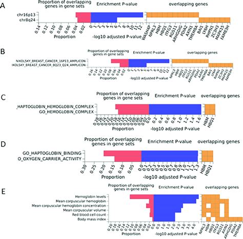 Enrichment Of Input Genes In Gene Sets For The Ugr Cohort A