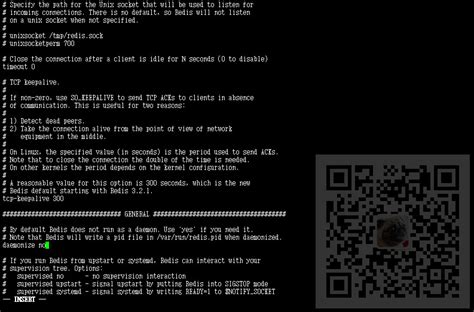 Redis的启动和关闭 前台启动和后台启动 心默默言 博客园