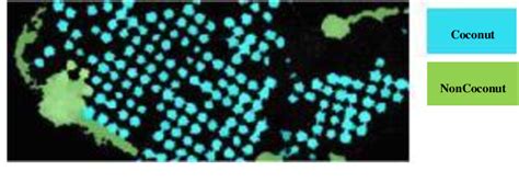 Figure 7 From Integration Of Template Matching And Svm Technique For