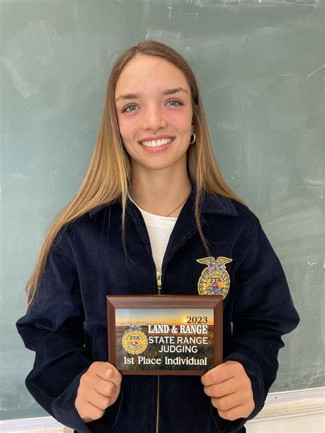 markets wheaton grain