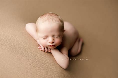 Harry One Sheep Two Sheep