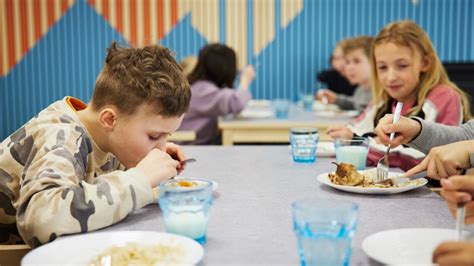 ЄС виділив десятки мільйонів євро на харчування українських школярів Читайте на Ukr Net