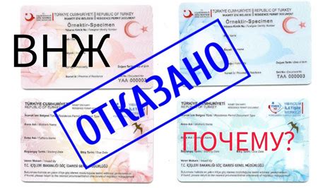 ВНЖ ОТКАЗ ТУРЦИЯ🇹🇷 ПРИЧИНА ОТКАЗА Youtube