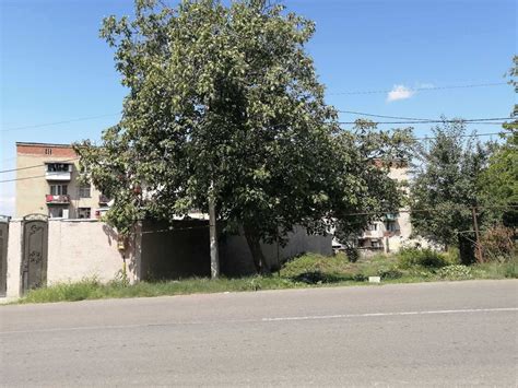 იყიდება მიწის ნაკვეთი ლილოში 10000 30168331 Ss Ge