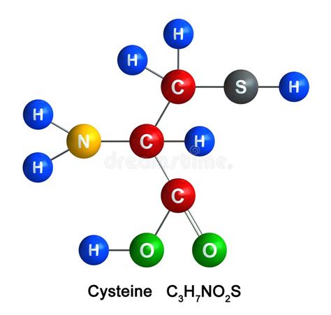 Cysteine Structure