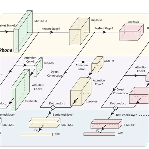 The Architecture Of Resnet18 Equipped With Scan I The Whole Neural Download Scientific
