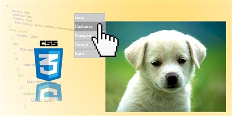 Mostrar Imagem Ao Passar Mouse Sobre Link Ever Developer