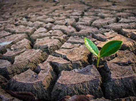 Немаме многу избори кога станува збор за климатските промени