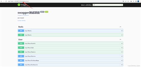 使用nginx在centos部署托管net6 Webapi应用（三）nginx做webapi Csdn博客