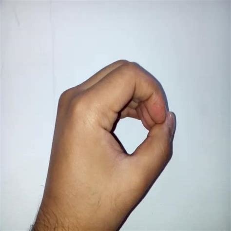 Sign Language Letter Translator Object Detection Dataset And Pre Trained Model By My Workspace