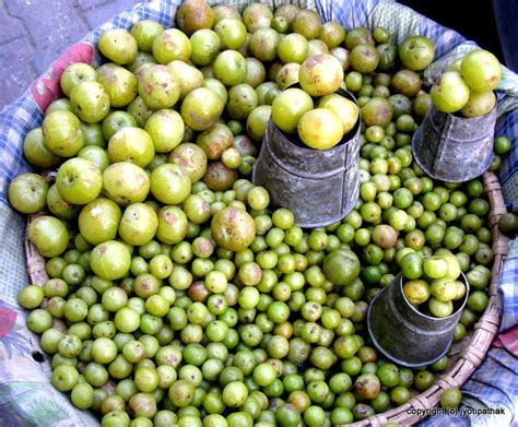 Taste Of Nepal Glossary Of Common Fruits Of Nepal English Nepali
