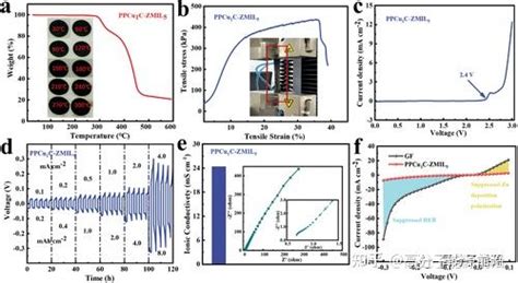 汕头大学段连峰《afm》新型锌离子电池聚合物电解质中催化离子增强锌离子沉积动力学 知乎