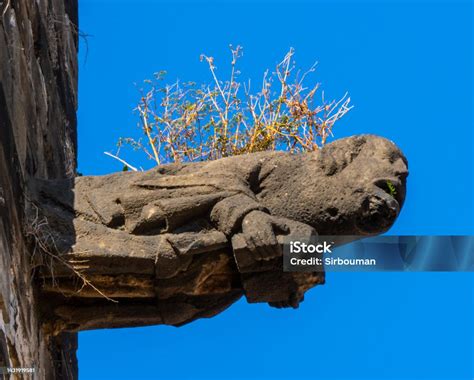 손이 달린 책을 들고 종이를 먹으며 등에서 나뭇 가지가 나오는 가고일의 세부 사항으로 맑고 푸른 하늘이있는 바르셀로나 대성당 벽에서 눈에 띄었습니다 0명에 대한 스톡 사진