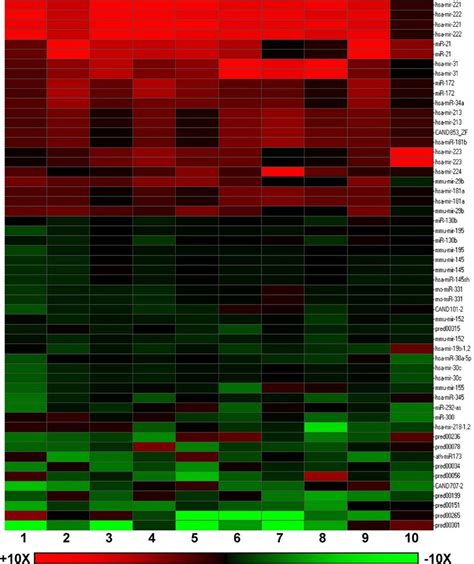 Identification Of Mirnas Dysregulated In Ptc By Microarray Heat Map