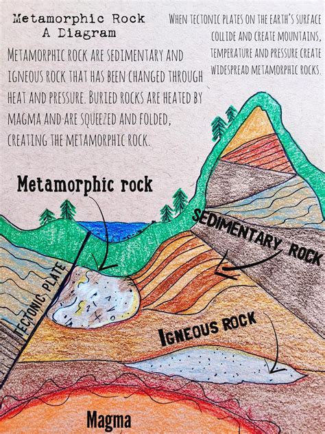Metamorphic Rocks And Activity Cards Pdf Etsy Earth Science Lessons Metamorphic Rocks