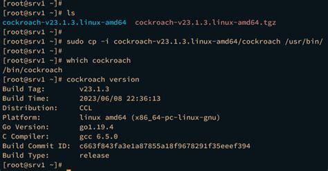 cómo instalar un clúster cockroachdb en almalinux 9 howtoforge