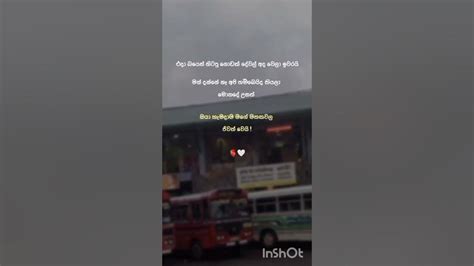 ආදරේ කියන්නේ ලැබුනා හො නැතා එක විදිහටම එකම හිතකට ආදරේ කරන එක 😊 ️එකගයිනම් Subscribe කරන් යන්න