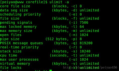 Segmentation Fault Core Dumped的解决办法redis Segmentation Fault Core