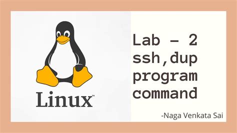 Lab 2 Ssh Sever Dup Program Process Program Commands Linux