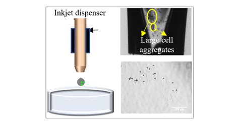 Investigation Of Cell Aggregation On The Printing Performance In Inkjet