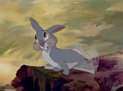 Image Bambi Thumper Adult Disneywiki