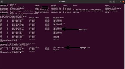 How To Share The Udp Port Of A Container With App Container Both Are In The Same Composeyml